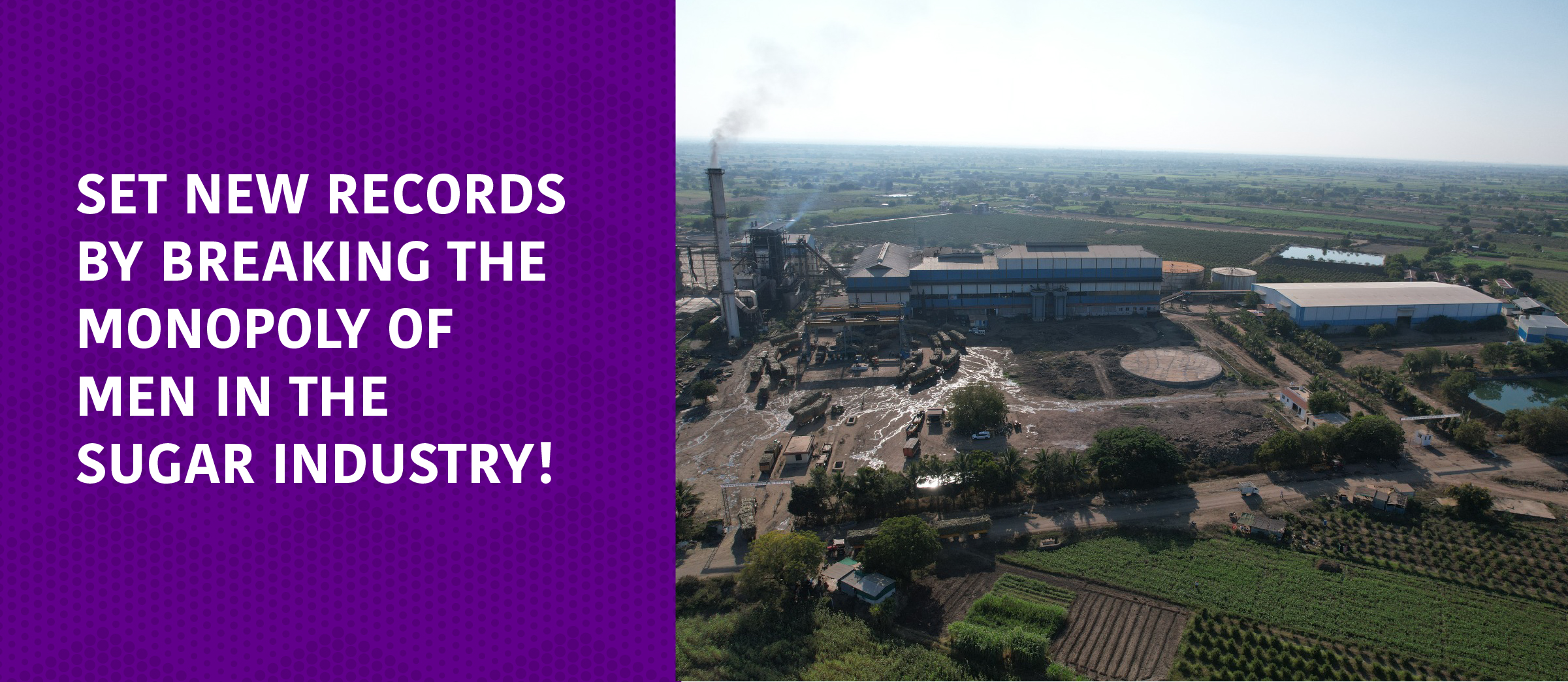 Young female entrepreneur a success in sugar business | यशस्वी उद्योजक