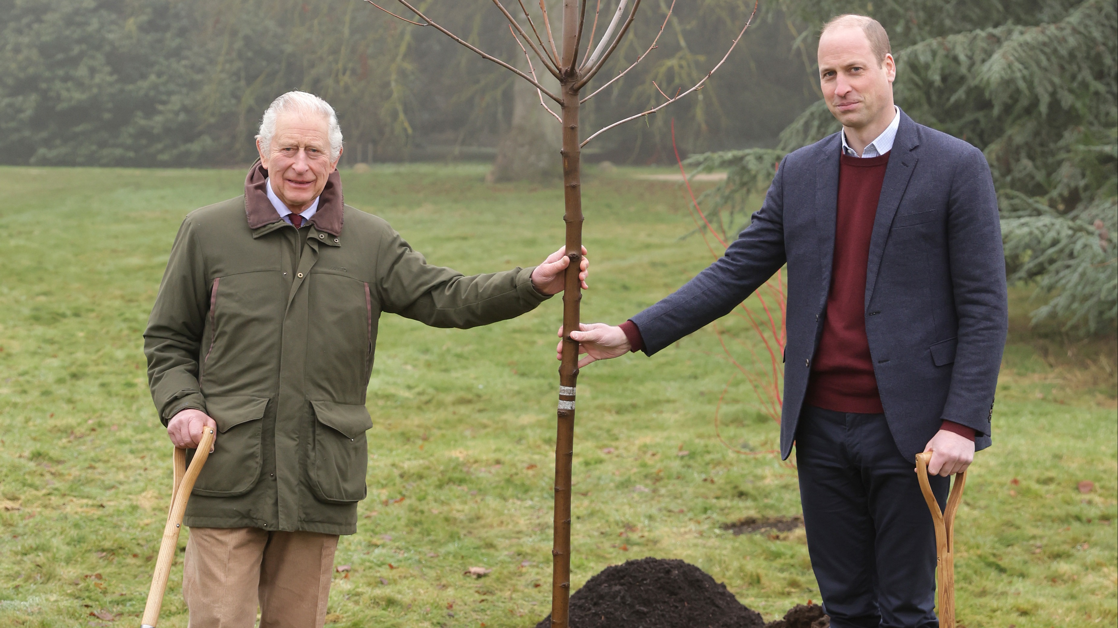King Charles And Prince William Mark Three Million Trees Being Planted