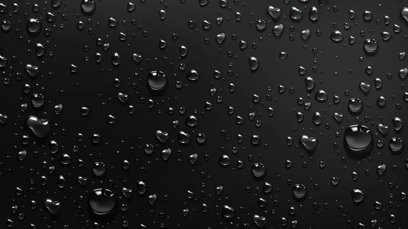 Ceramic Shield Wax for Lasting Shine | Take 5 Car Wash