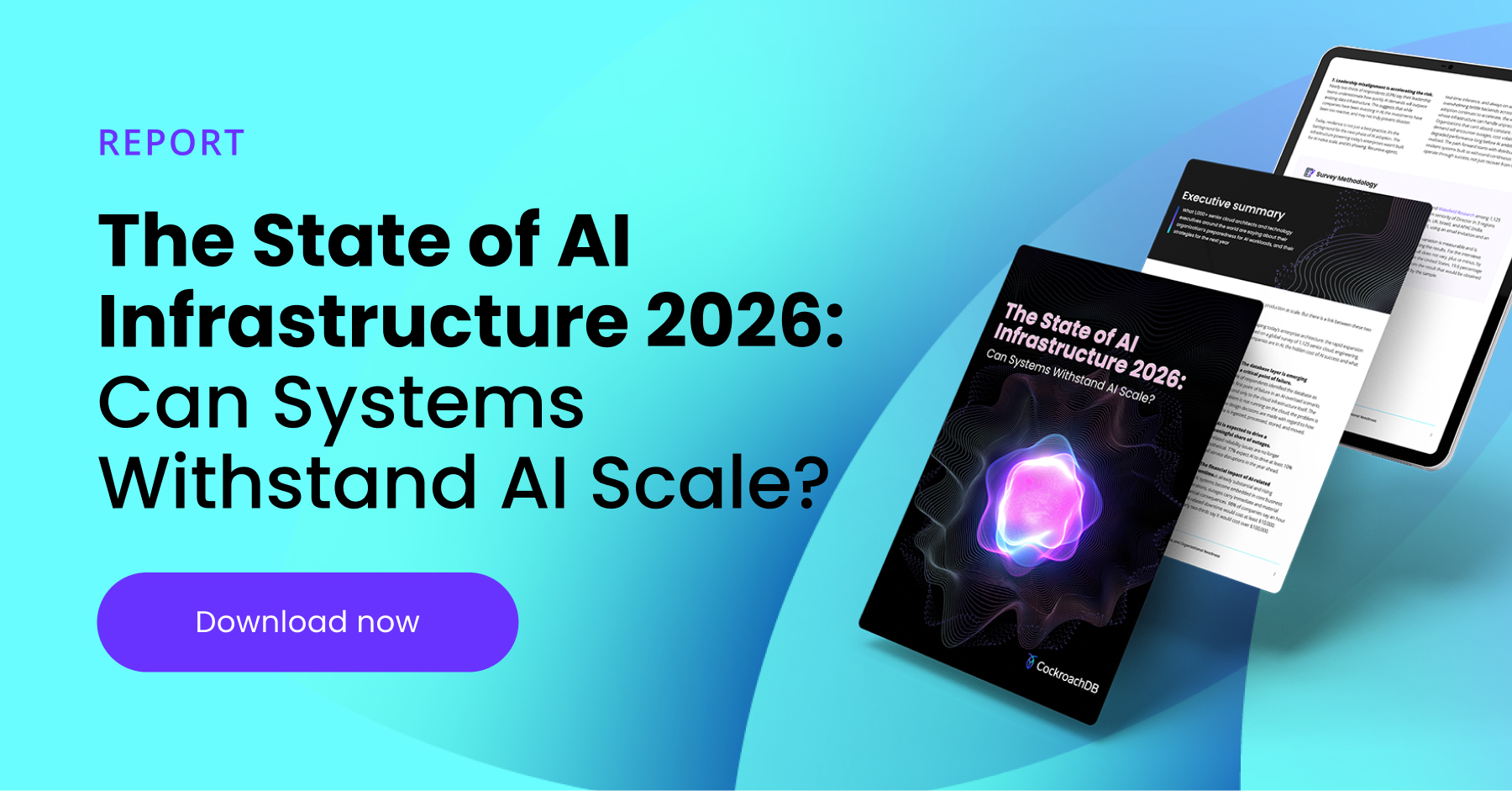 The State of AI Infrastructure