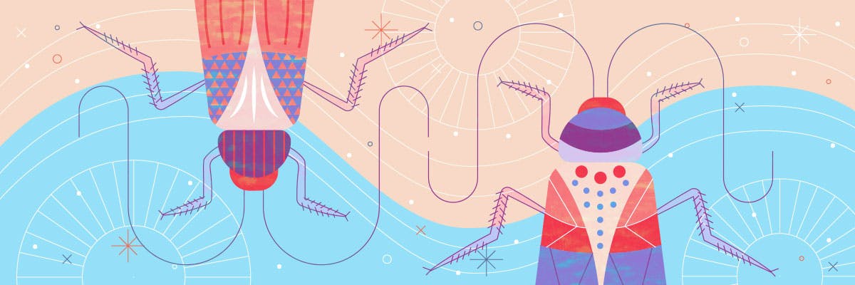 A Vuejs Firebase And Cockroachdb App That Makes Mentorship Accessible