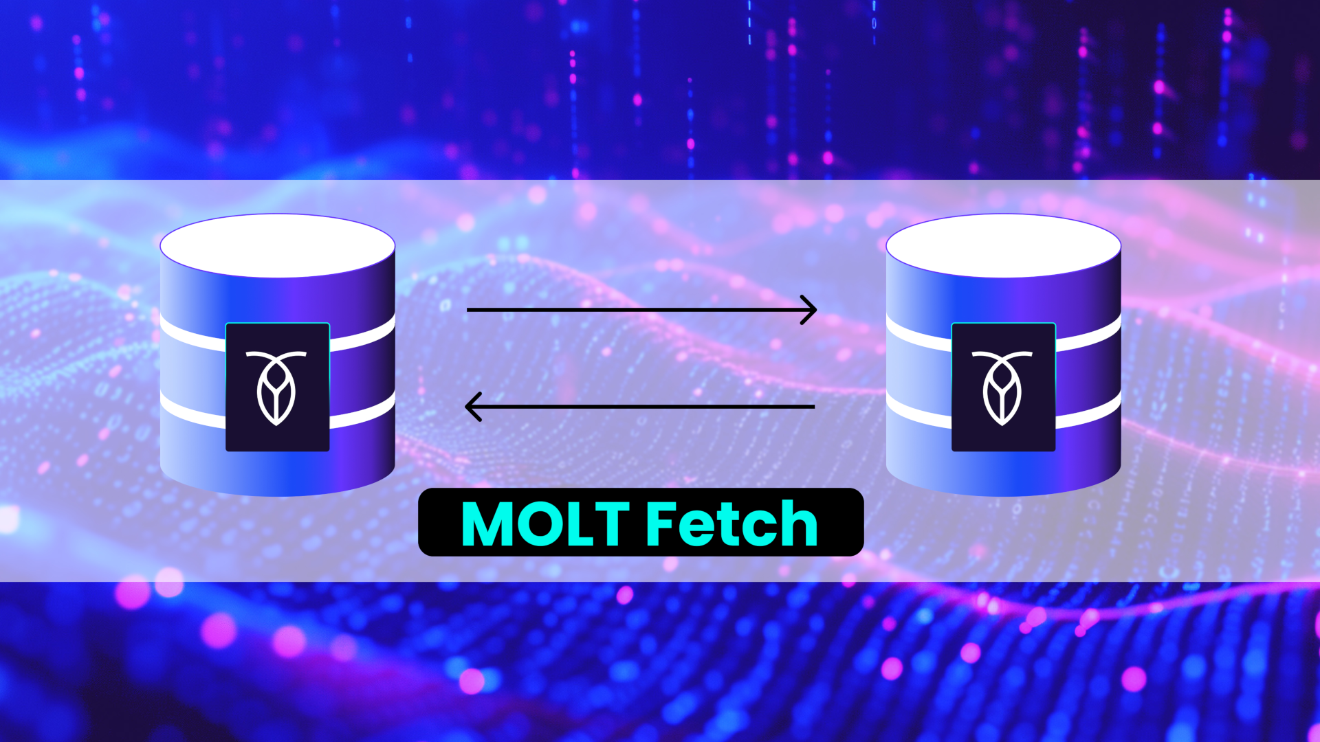 MOLT Fetch: The best way to move your data to CockroachDB