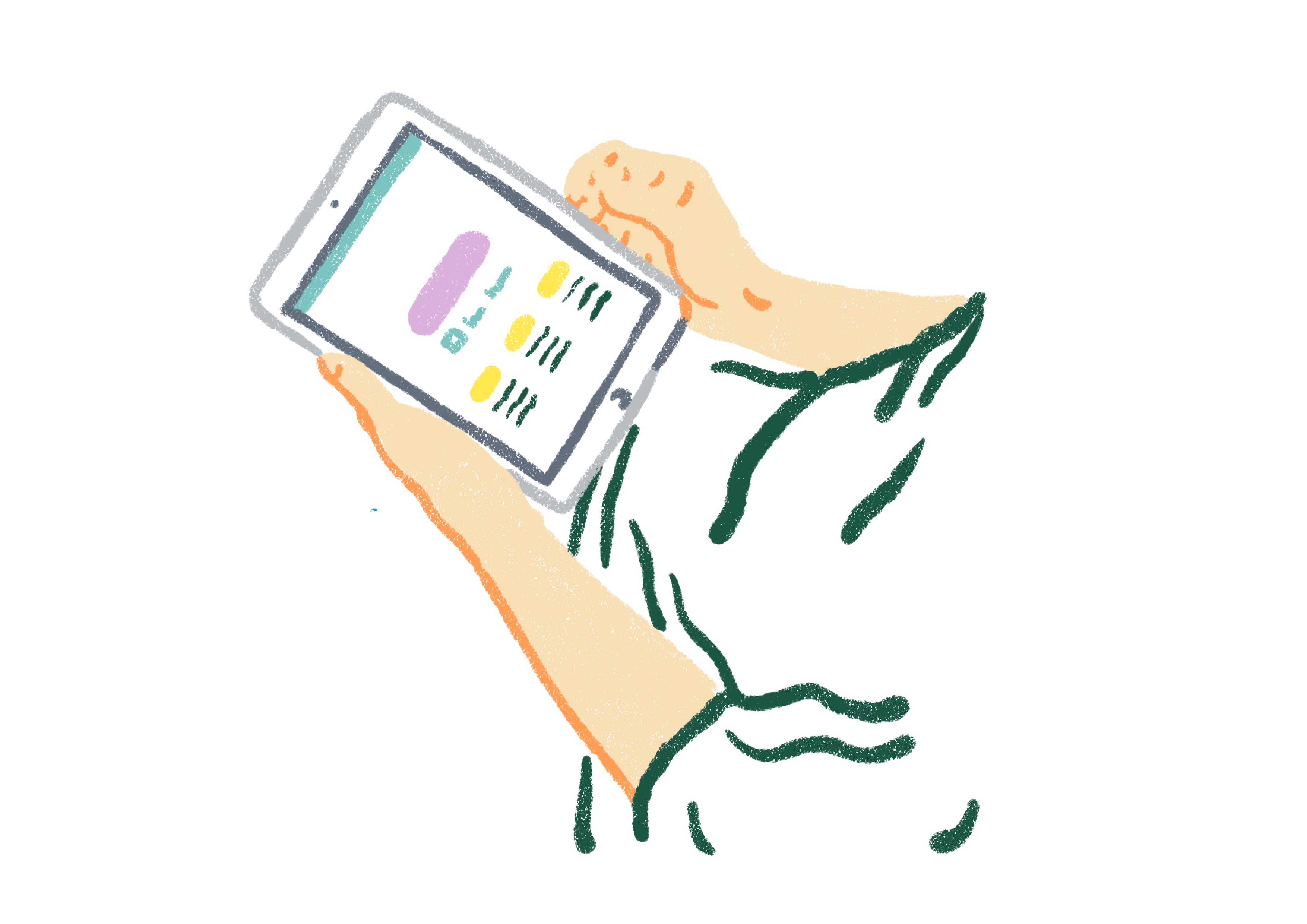 Access Plus - Sedera