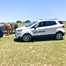 Buy or Sell Your Car Your Way | Driveway