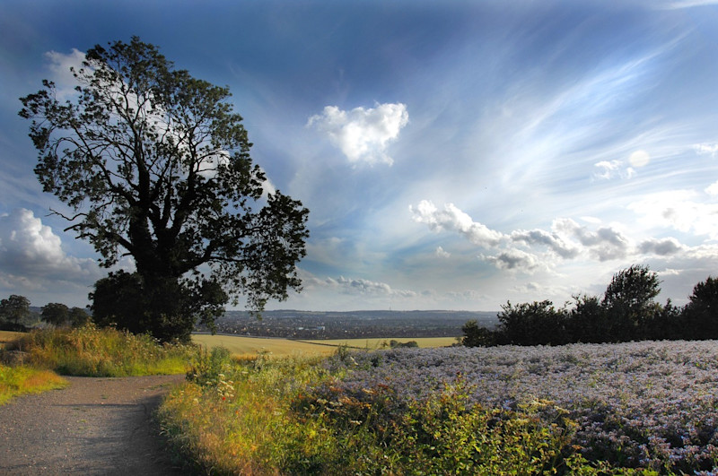 Living in Luton: area guide - Zoopla