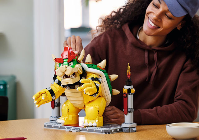 LEGO Adults | Smyths Toys France