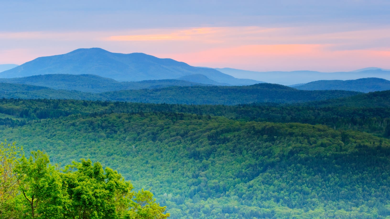 Biodiversity, Sustainable Finance and ESG Impact