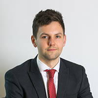 Interactive Sovereign Rating Model