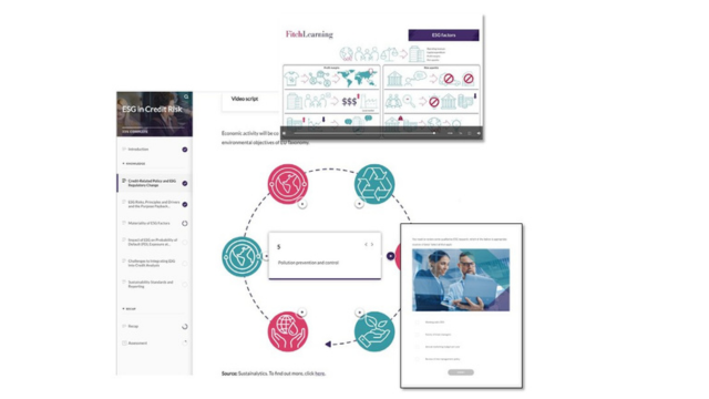 ESG Learning :: Sustainable Fitch