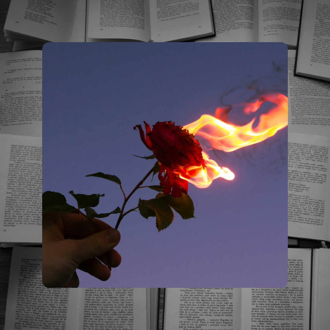 Here’s why you’re drawn to dark romance tropes