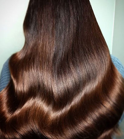 chestnut brown color code