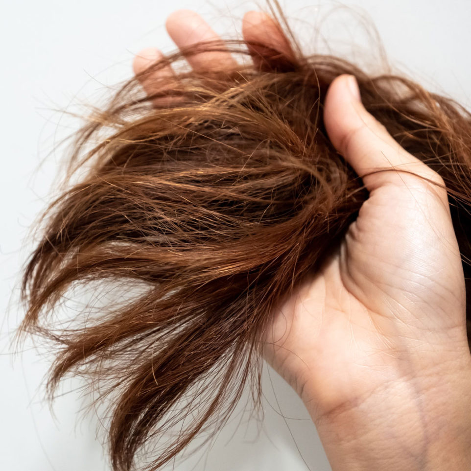 What Does Damaged Hair Look Like? | WellaStore US