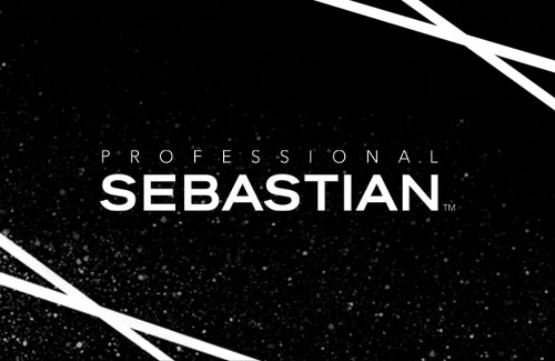 Sebastian Professional Logo
