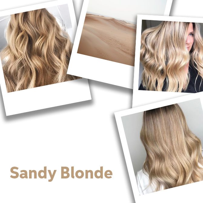 Sandy Blonde Hair Color Ideas & Formulas | Wellastore