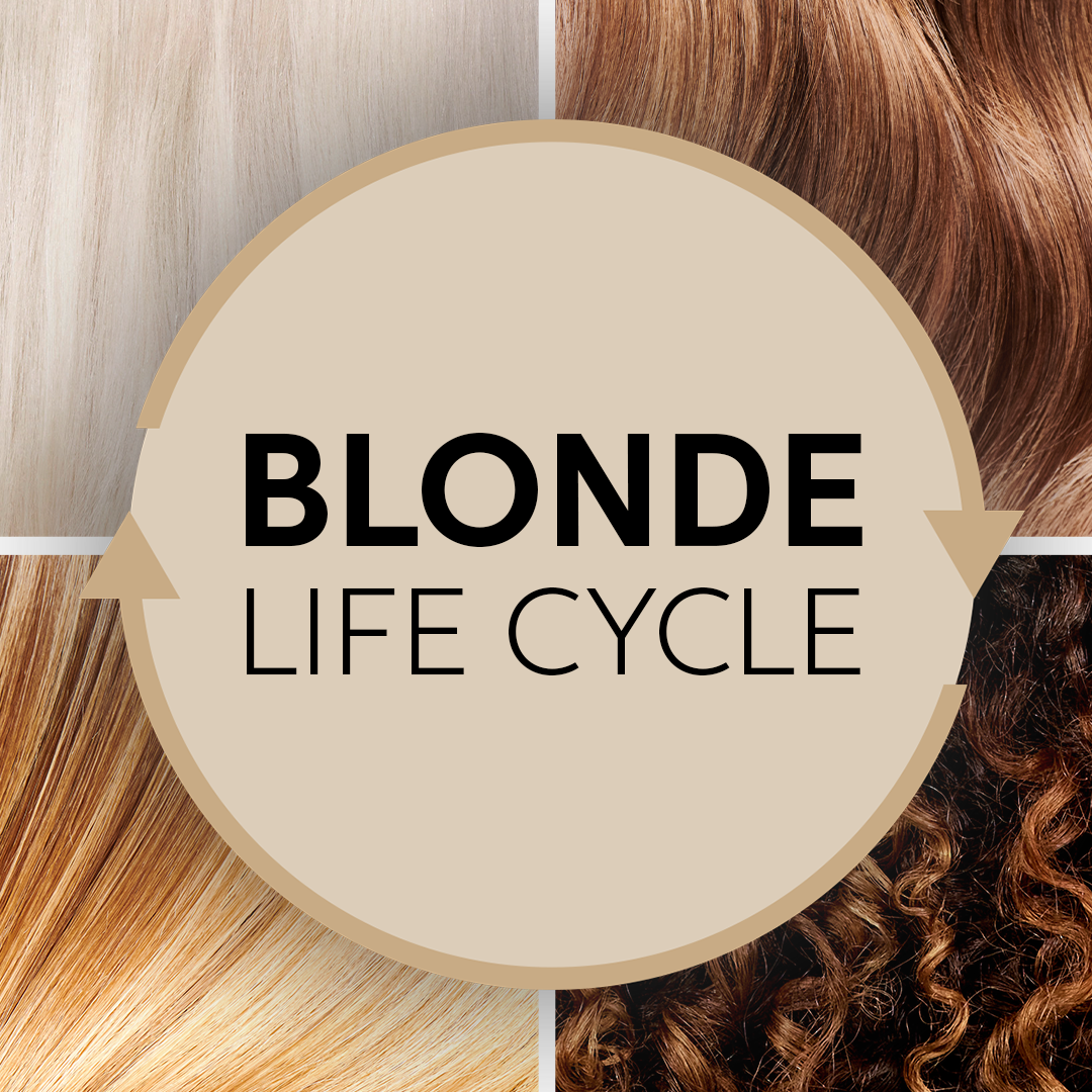 Blonde Life Cycle: Cyclus van 4-6 maanden| WellaStore NL