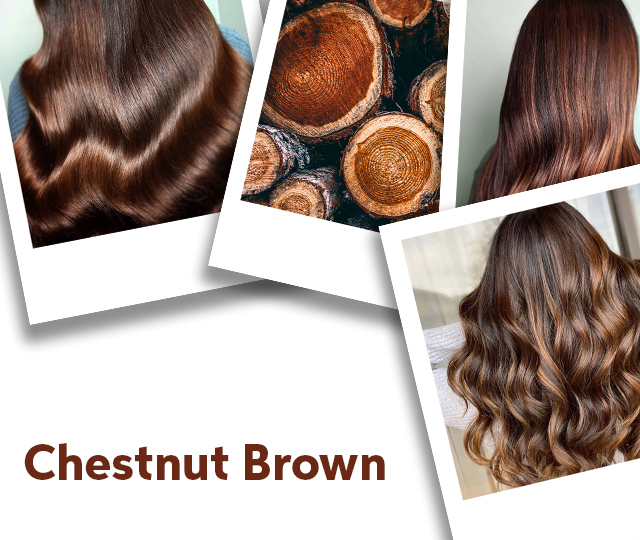 chestnut brown color code