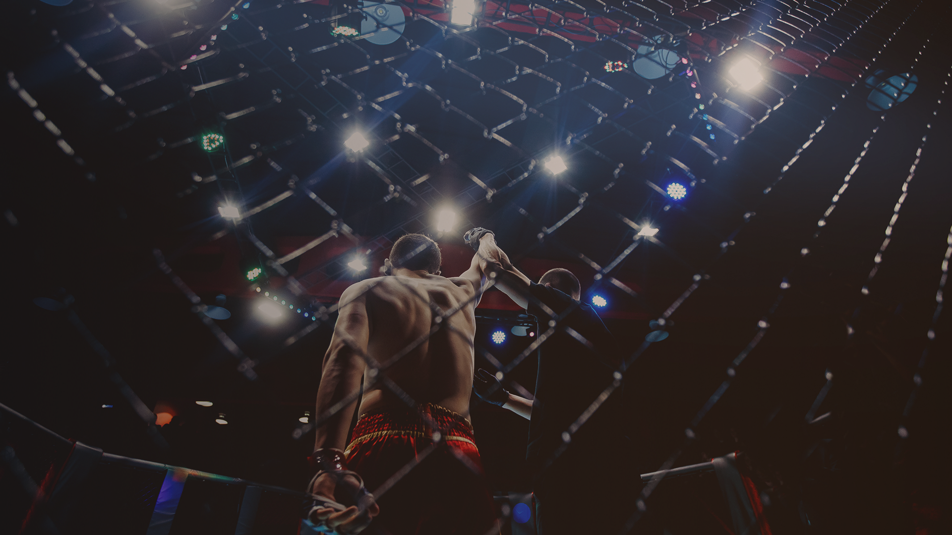 Best Places to Watch UFC in Houston, TX | Home Run Dugout