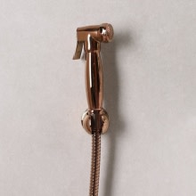 Get Brass Shattaf Hand Toilet Spray Set Online in UAE - Danube Home