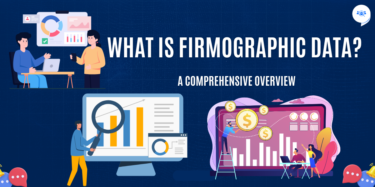 What Is Firmographic Data?