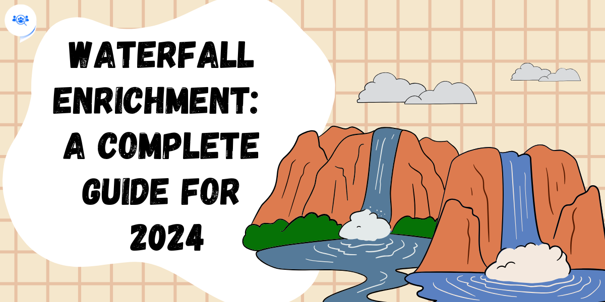 Waterfall Enrichment: A Complete Guide for 2024