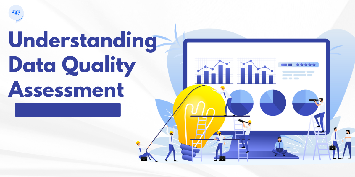 Understanding Data Quality Assessment