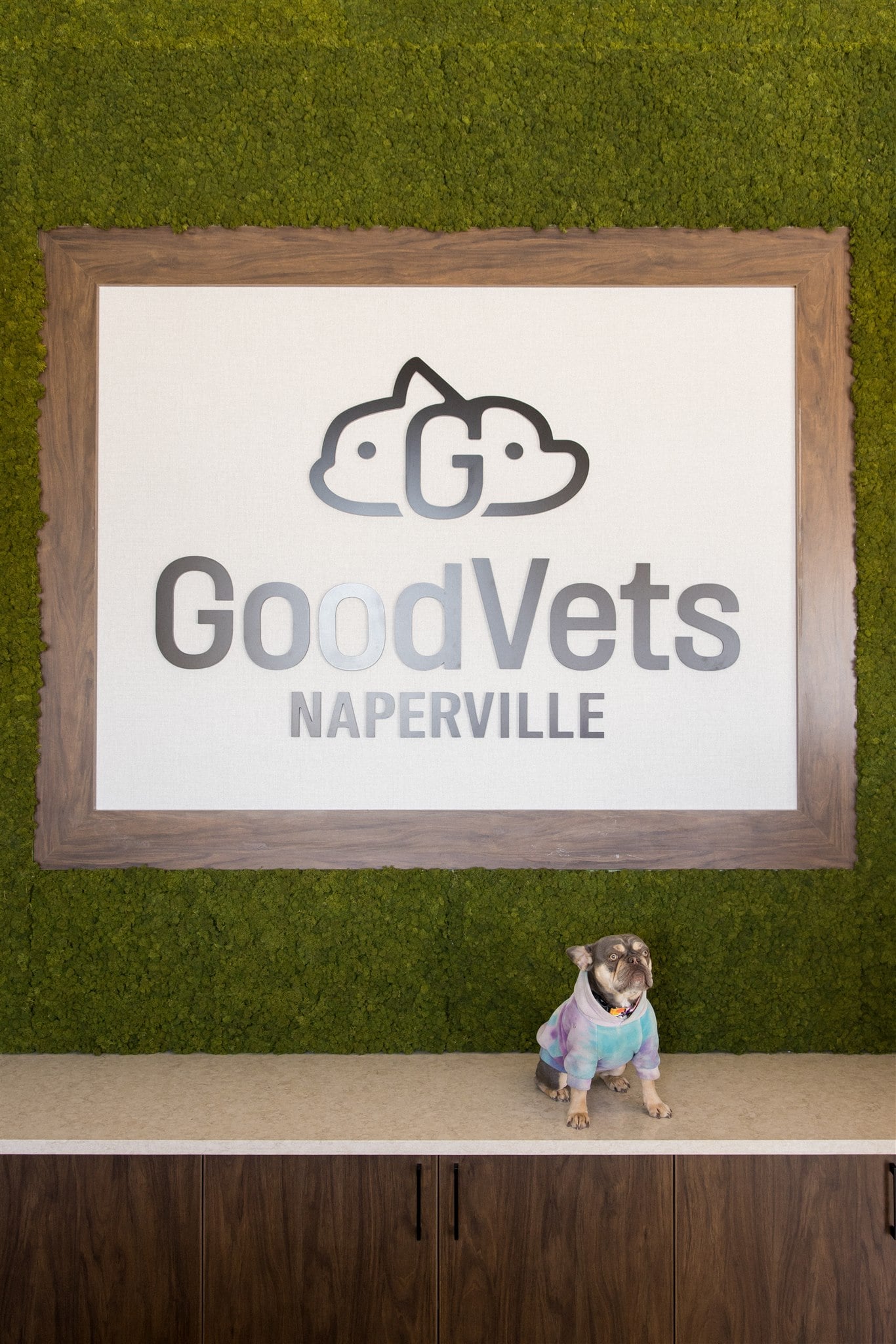 An animal hospital interior