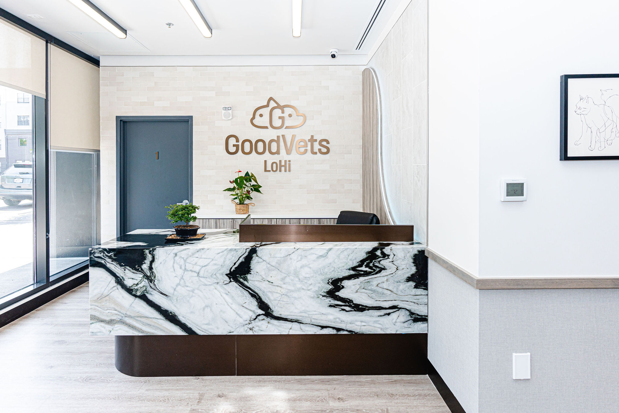 An animal hospital interior