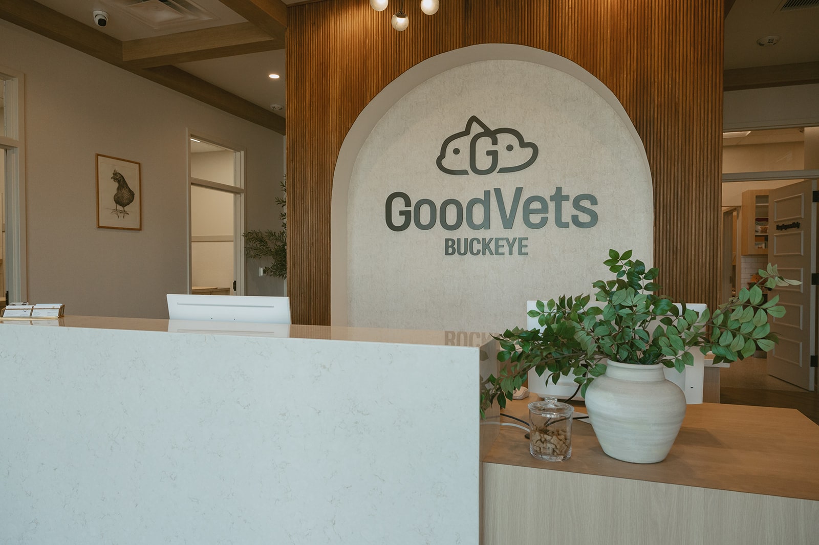 An animal hospital interior