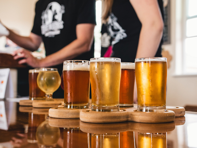 The 14 Best Beers for Beginners