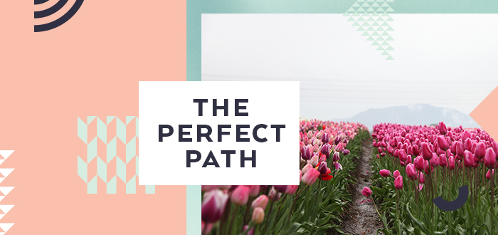 The Perfect Path - Lifeway Girls