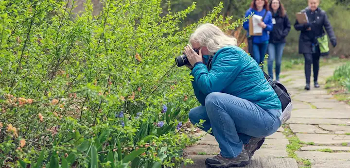 Photography Policy and Photo Passes | Newfields