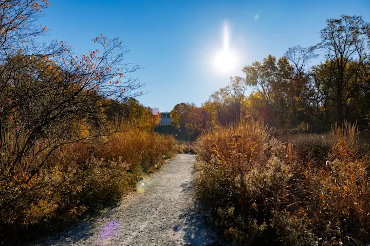 Environmental Sustainability | Newfields