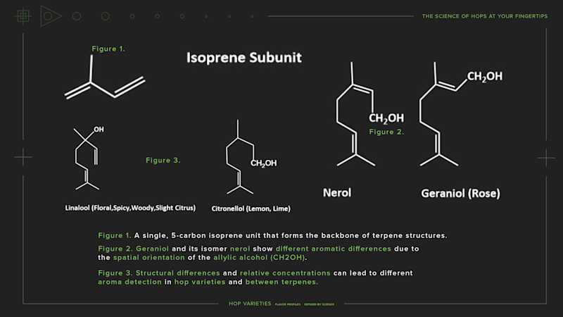 Terpenes Chemistry Encyclopedia Structure Name Molecule
