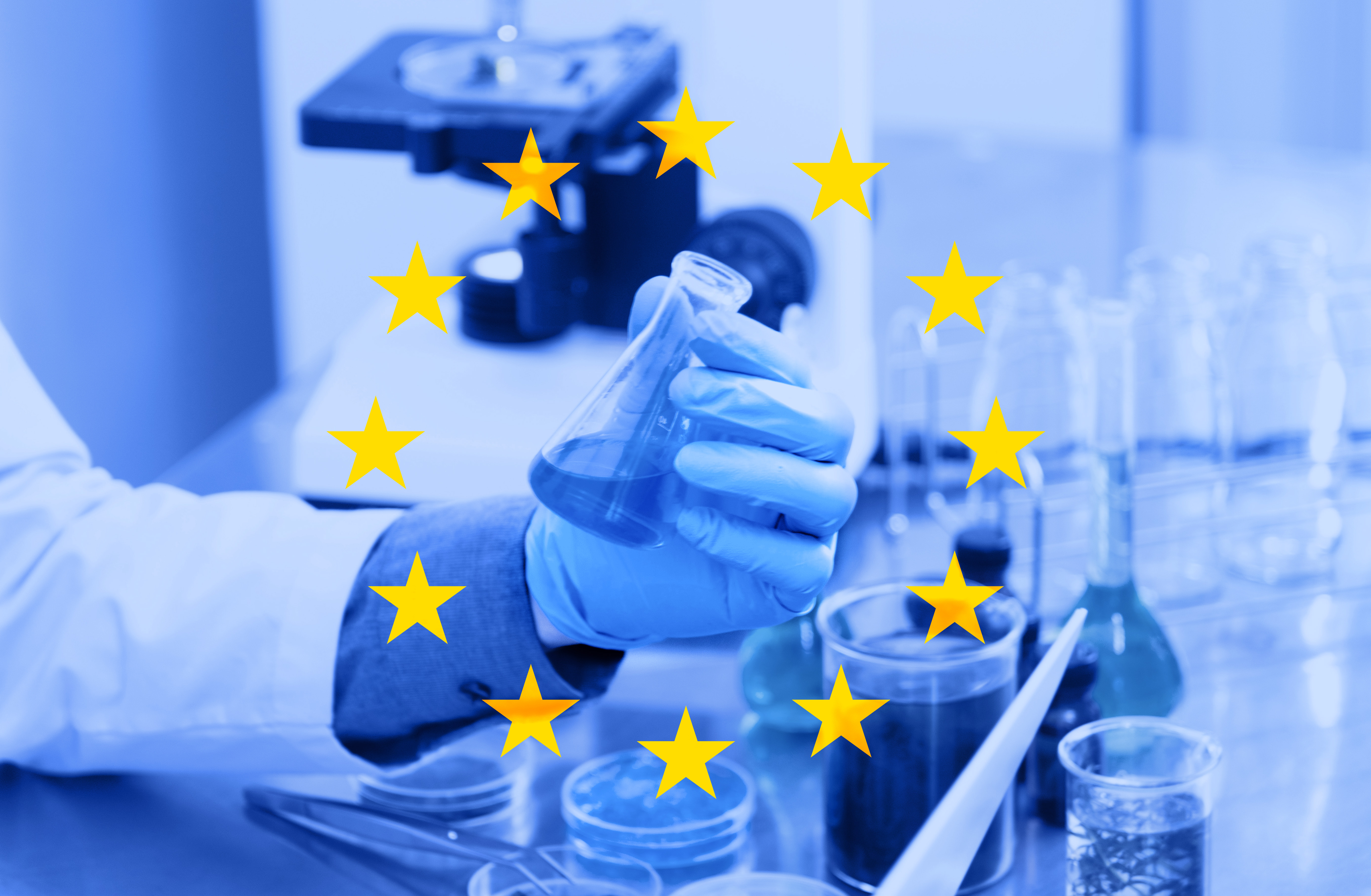 REACH Compliance Requirements | QIMA