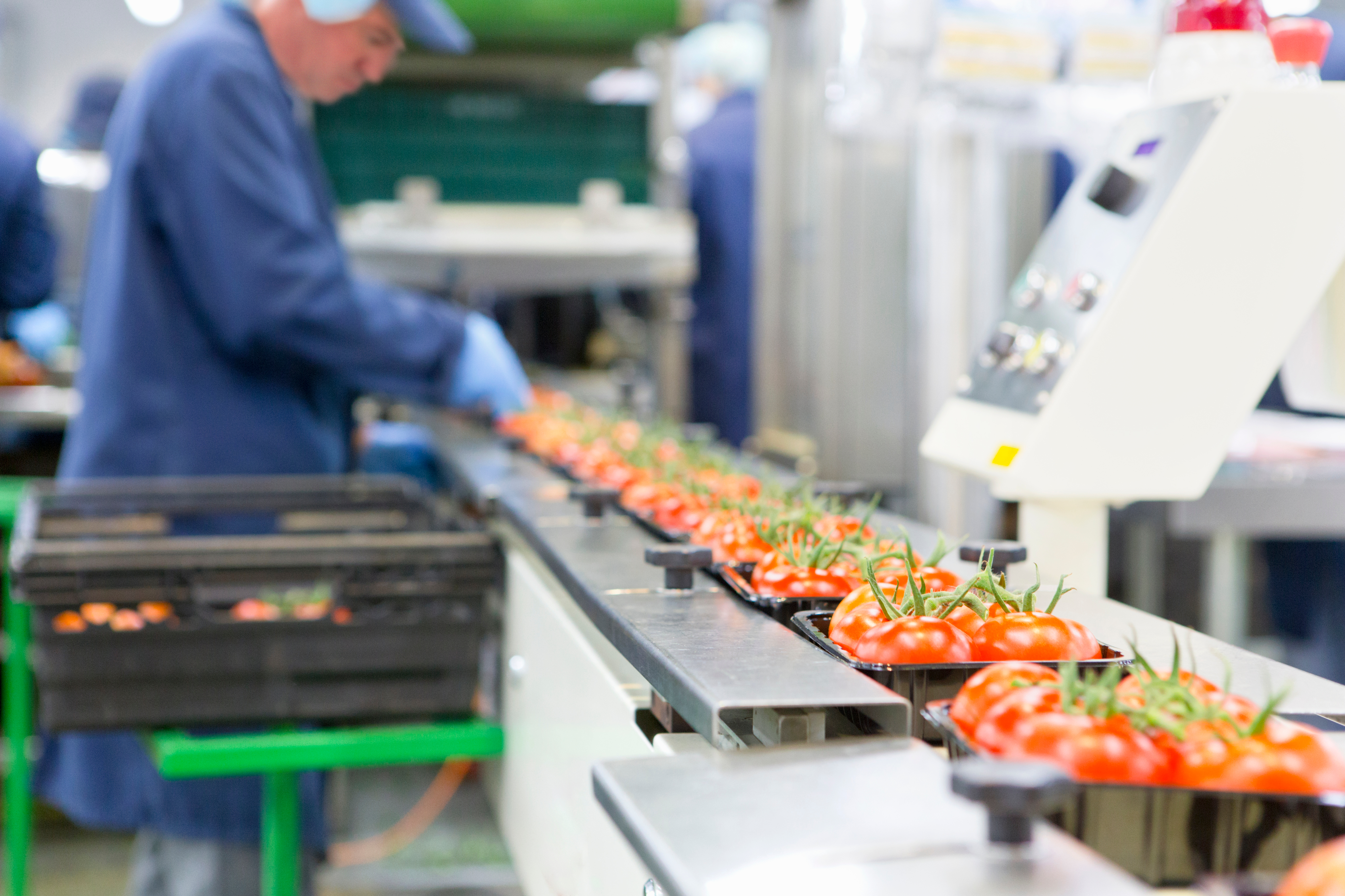Supplier Audit Services | QIMA