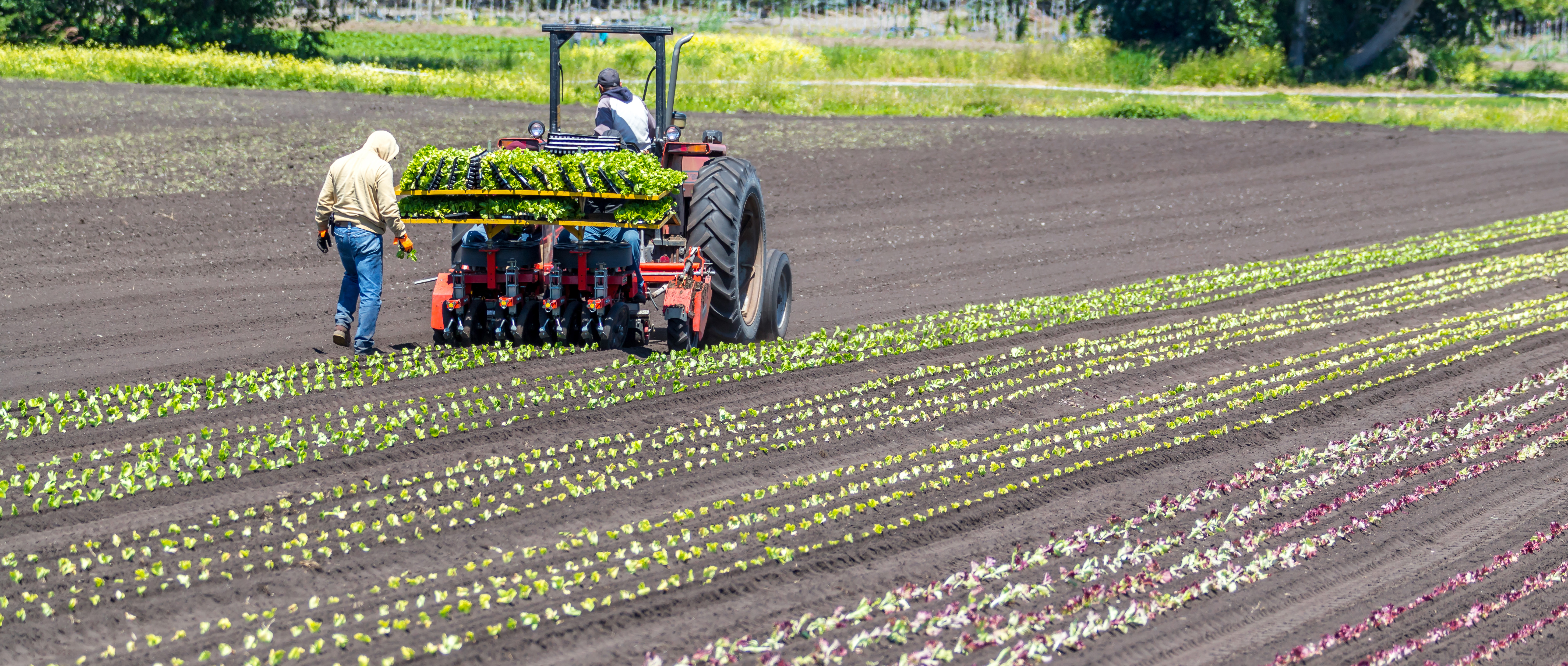 Audit Standard Primus : Certifications des Bonnes Pratiques de ...