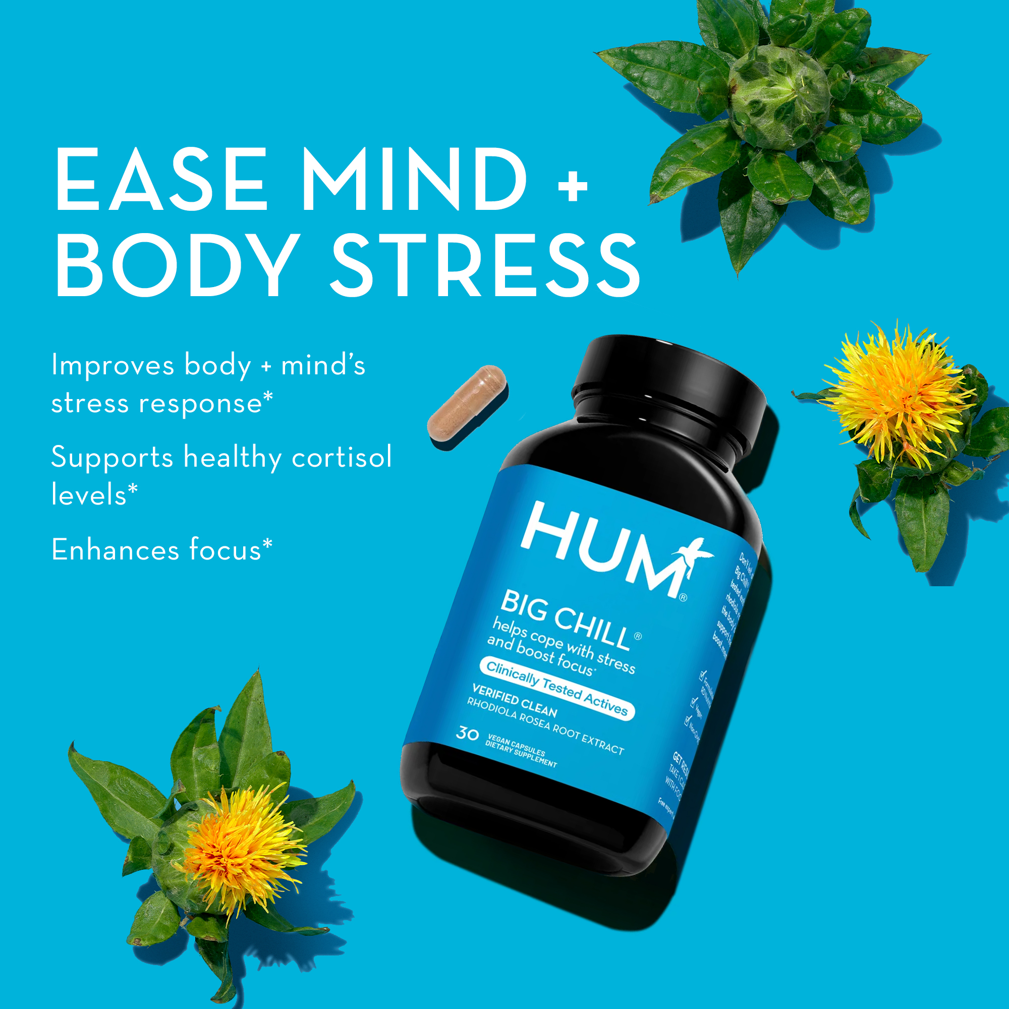 Big Chill | Vitamins for Stress - HUM Nutrition