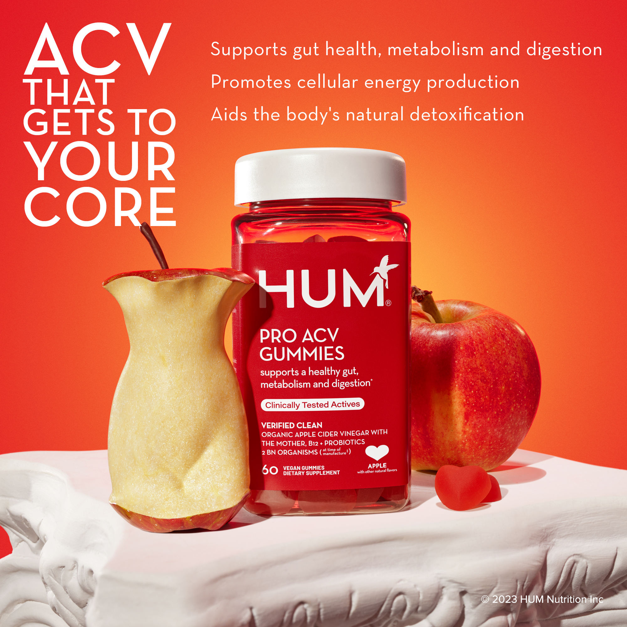 Pro ACV Gummies | Supports Gut Health, Metabolism, Digestion - HUM ...