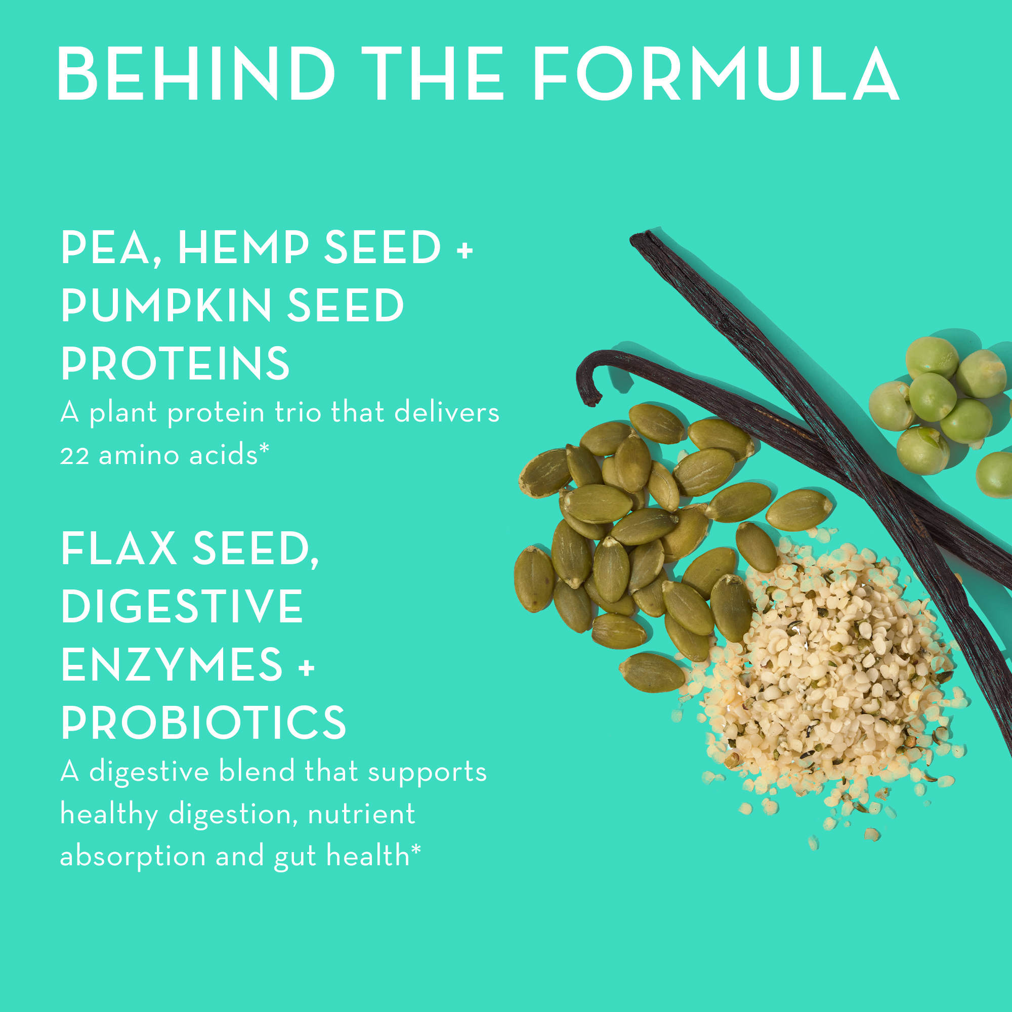 Core Strength | Vegan, Low-FODMAP Protein Powder - HUM Nutrition