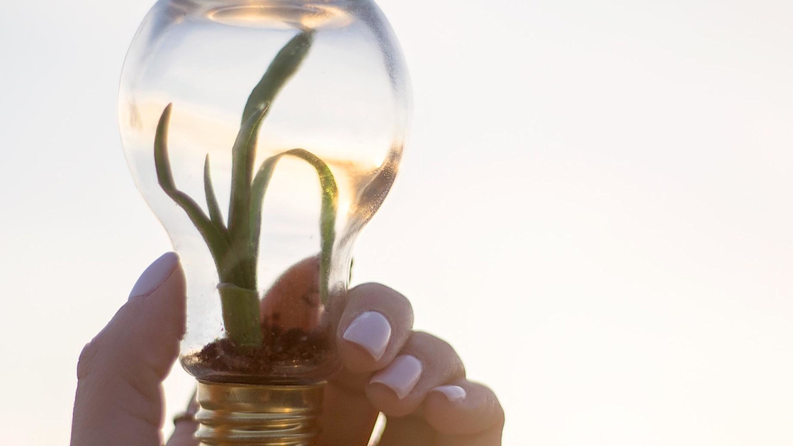 What Is Sustainable Energy: Definition, Types, and Uses