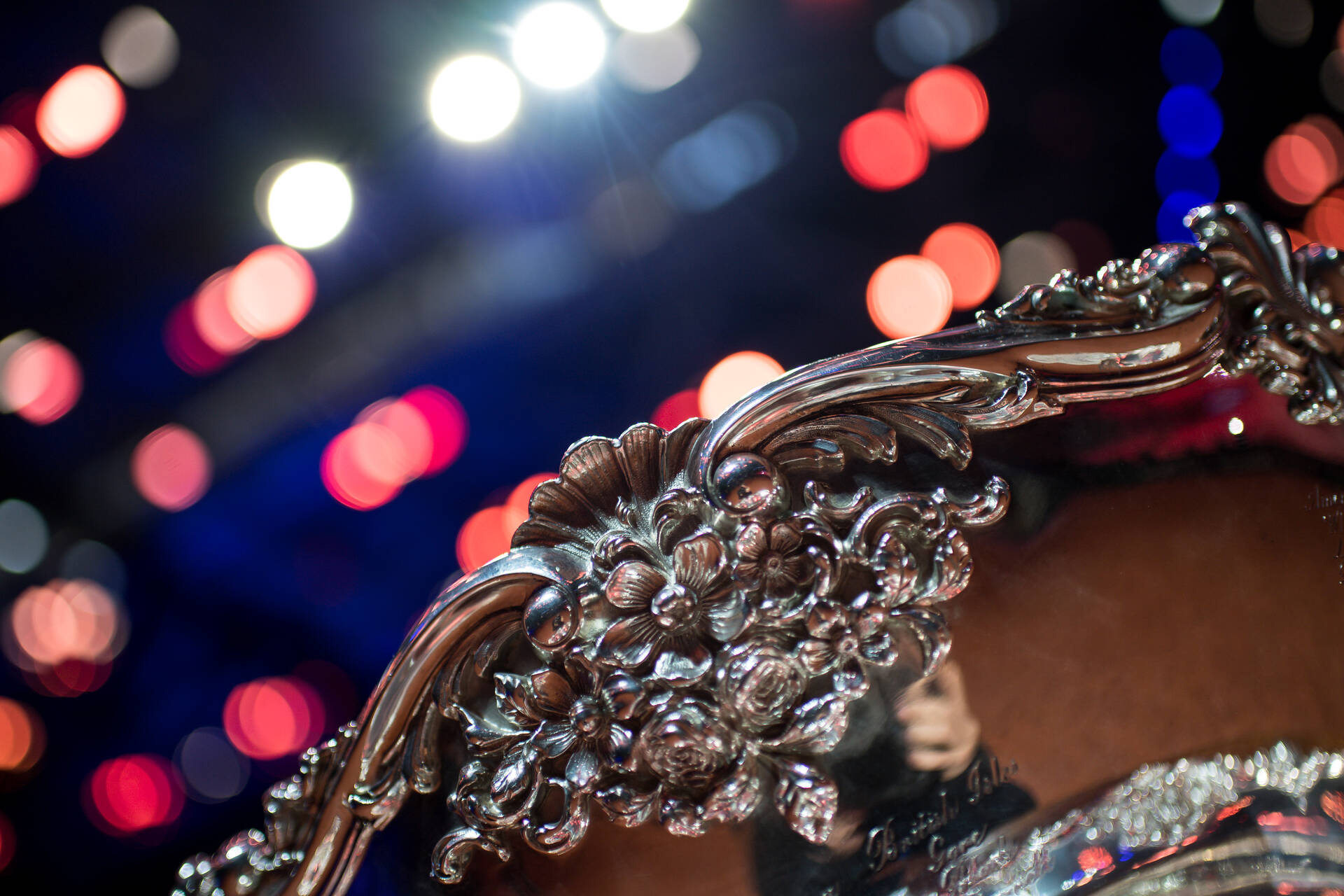 Draw announced for 2025 Davis Cup World Group II - Davis Cup - The ...