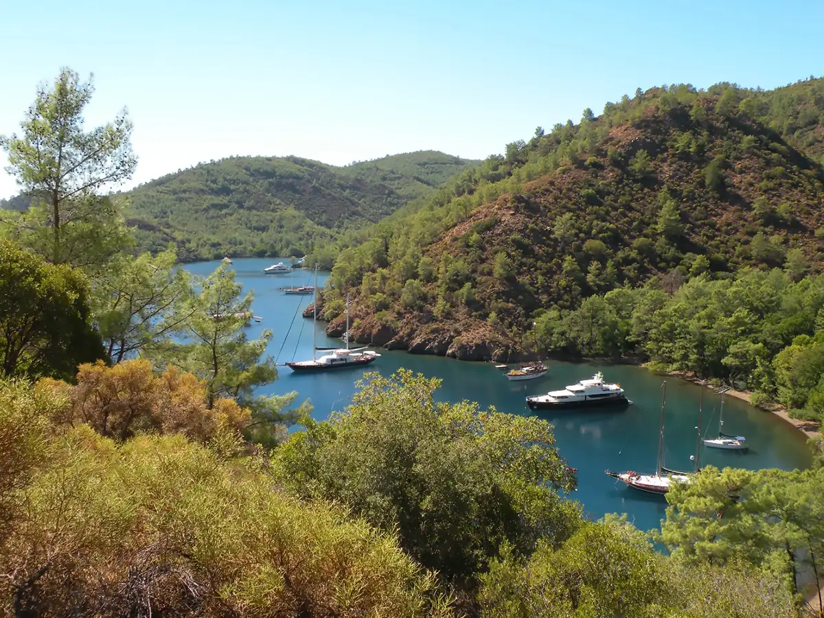 What Is a Blue Cruise? Beginner’s Guide & Planning Steps