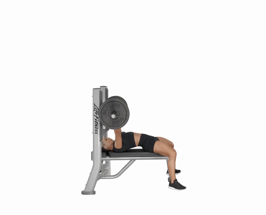 Paused Bench Press - Sweat