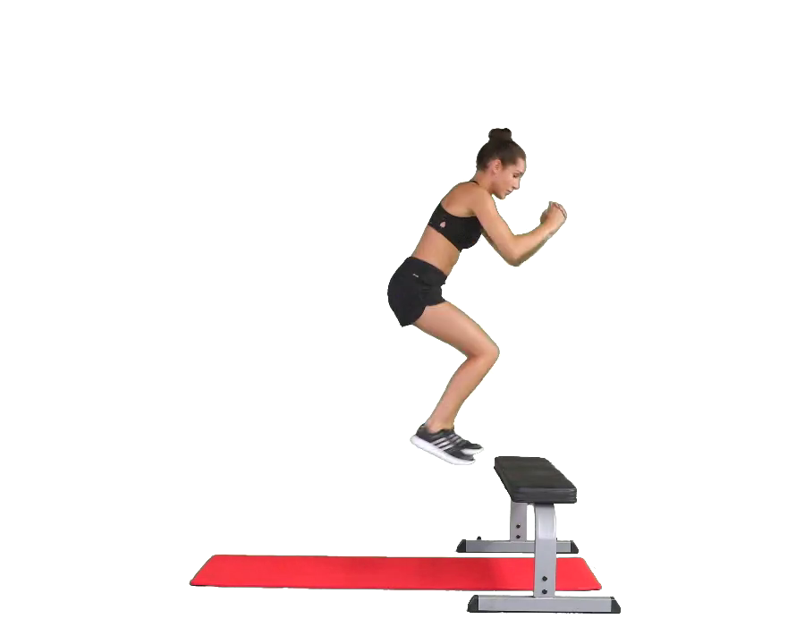 Double-Pulse Bench Jump - Sweat