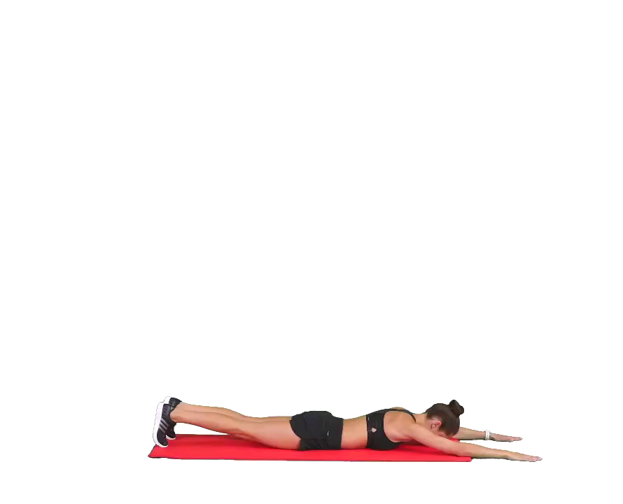 Hand release push up store