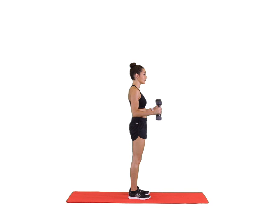Hammer Curls Exercise Video & Guide - Sweat