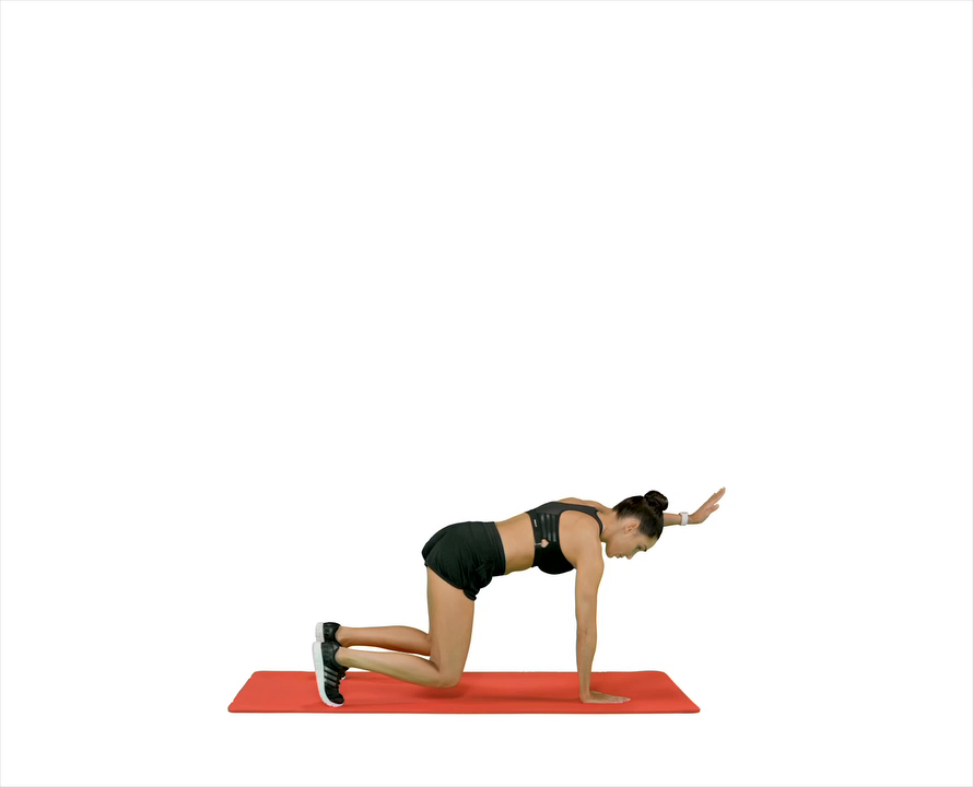 Hover Arm Extension - Sweat