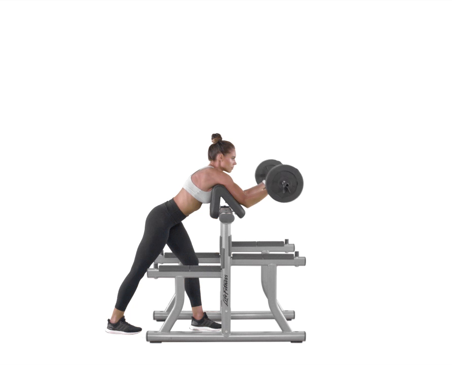 Preacher Curl Exercise Instructions & Video - Sweat