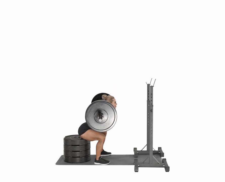 Box Squat Exercise Instructions & Video - Sweat