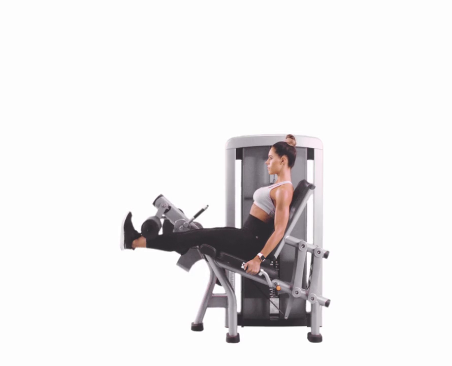 Leg Extension Exercise Instructions & Video - Sweat